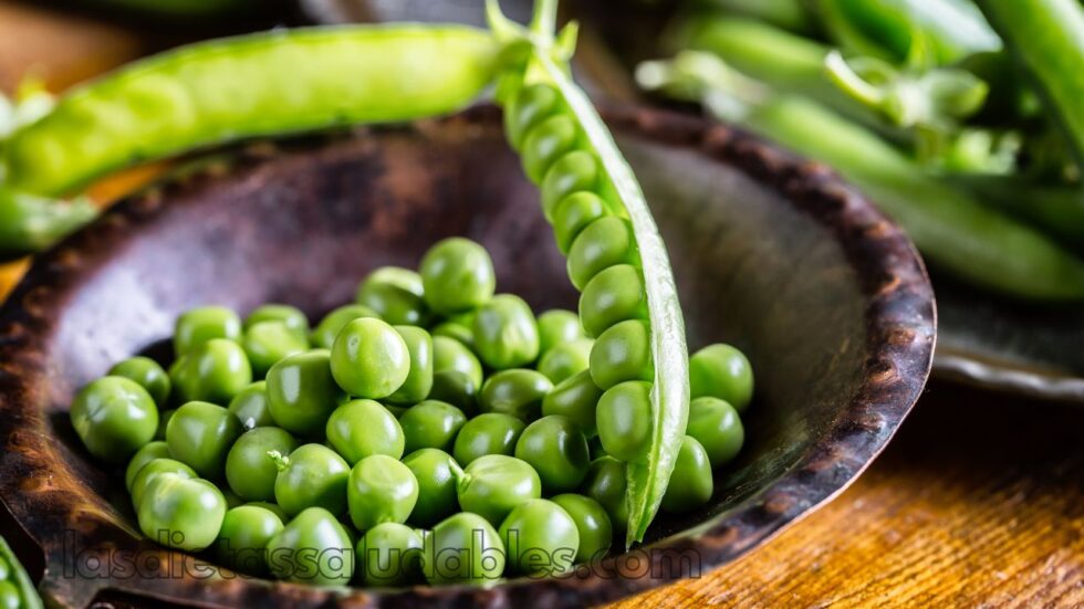 Propiedades de las Arvejas para la Salud